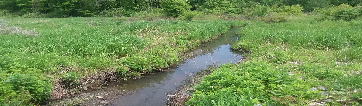 Branchville Borough Stormwater Information